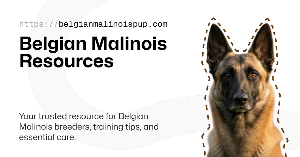 Belgian Malinois Directory
